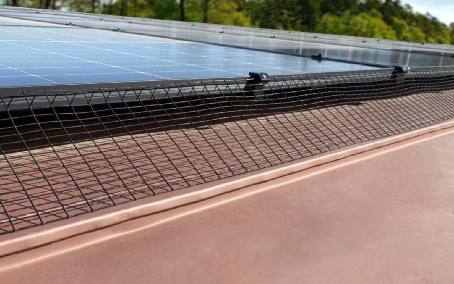 Solar Panel Protection Mesh with Clamp Fixings | Solar Panel Pigeon ...