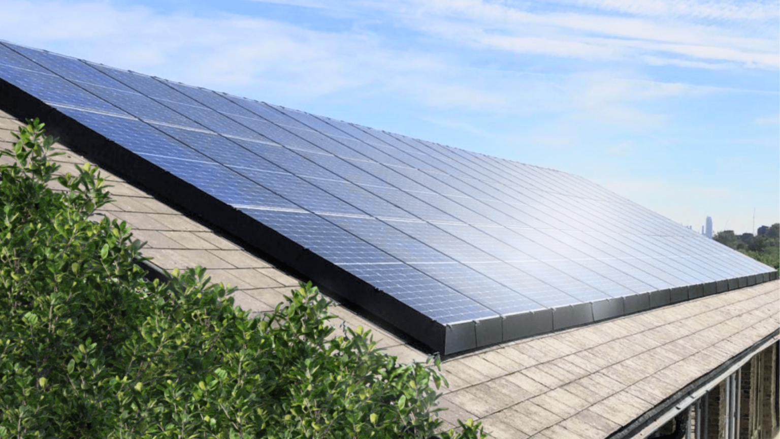 Solar Panel Pigeon Proofing | Pigeon Proofing Solar Panels | SolaSkirt UK